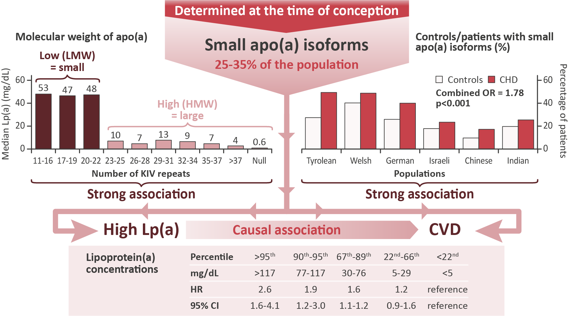 What is Lp(a)? - Lp(a) Forum