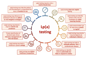 The Lp(a) Forum: Lipoprotein(a) Education and Research - Lp(a) Forum